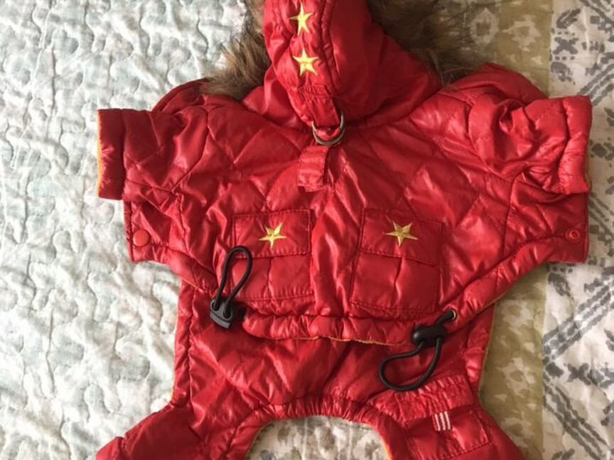 Комбинизон для маленькой собачки