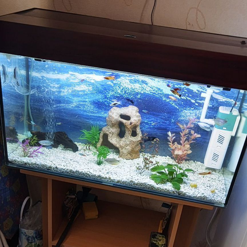 Аквариум с рыбками