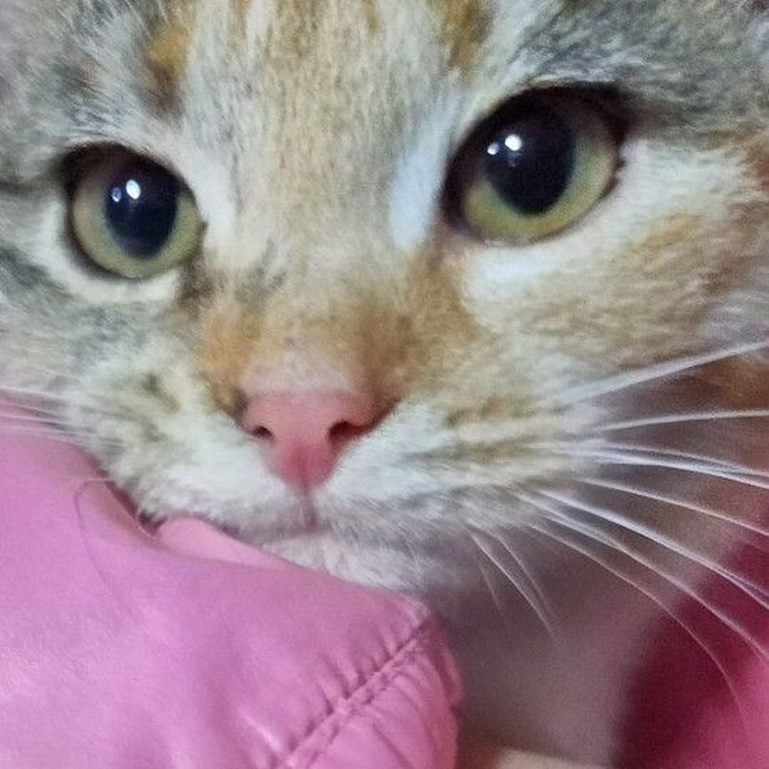 Маленькая красивая девочка