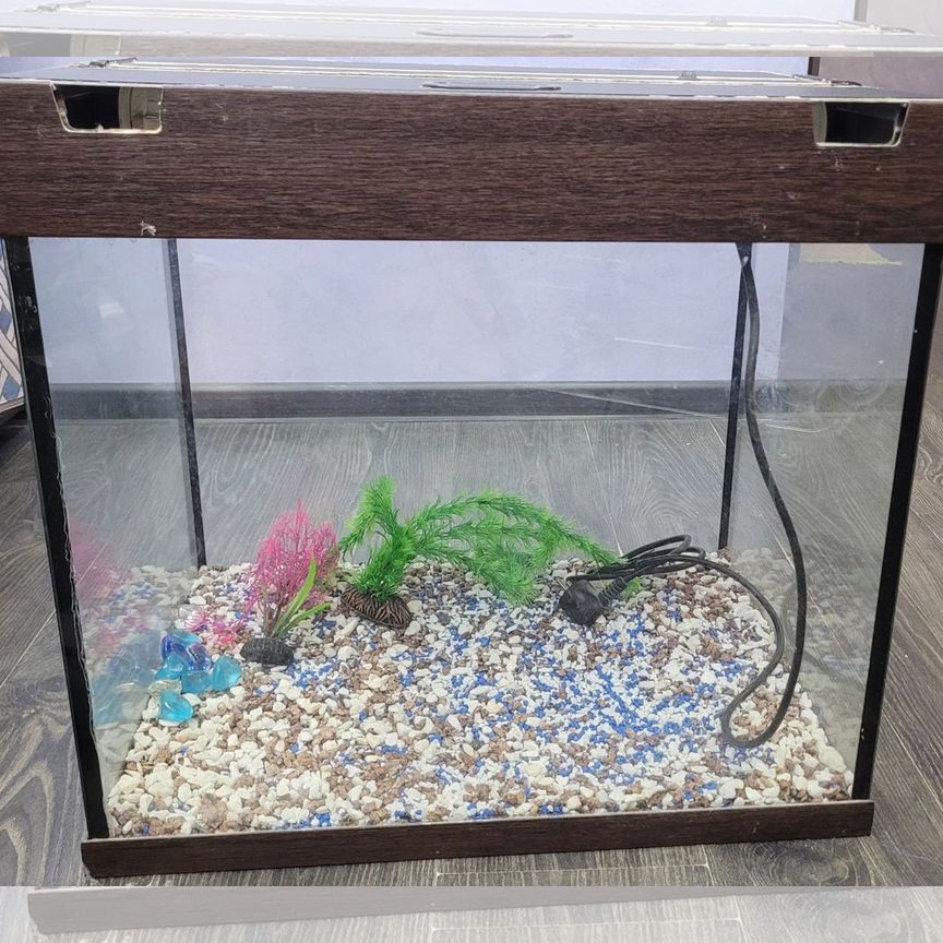 Аквариум и фильтр для аквариума