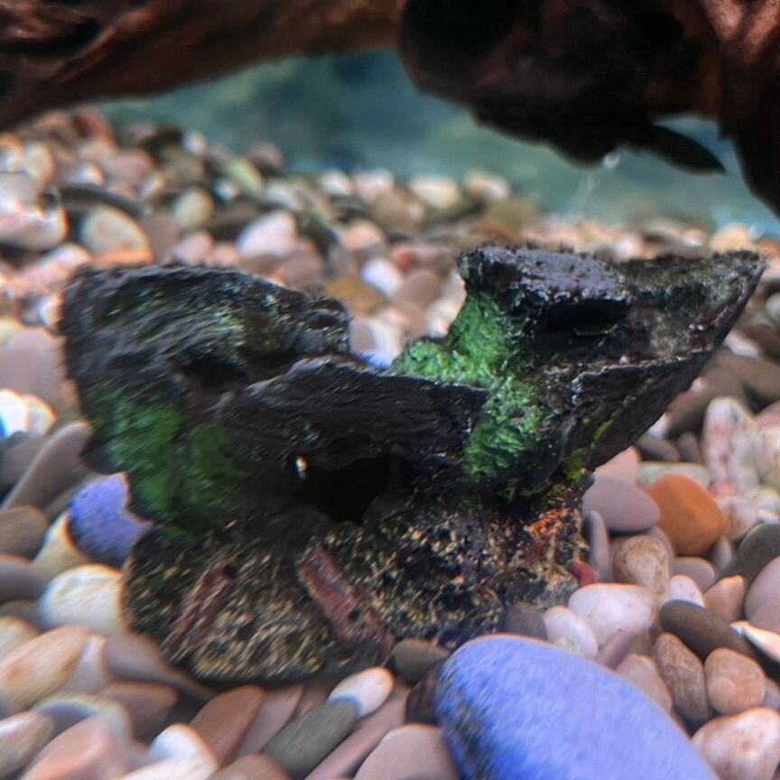 Керамика для аквариума