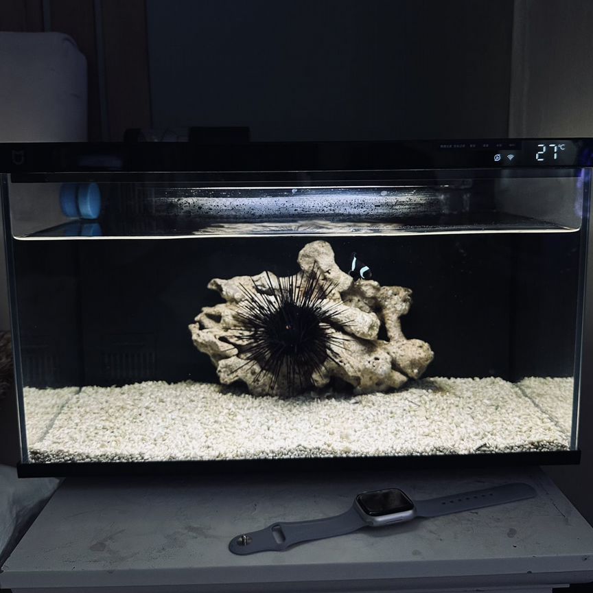 Морской аквариум