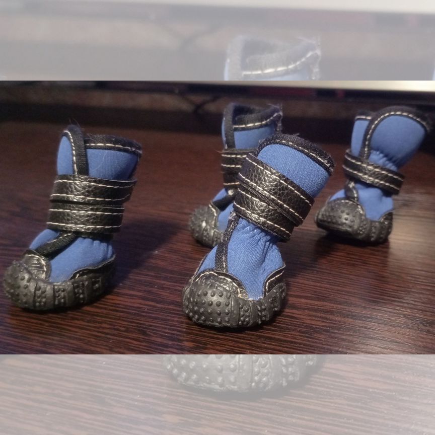 Обудь для собак мелких пород