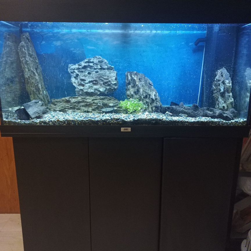 Аквариум juwel 180