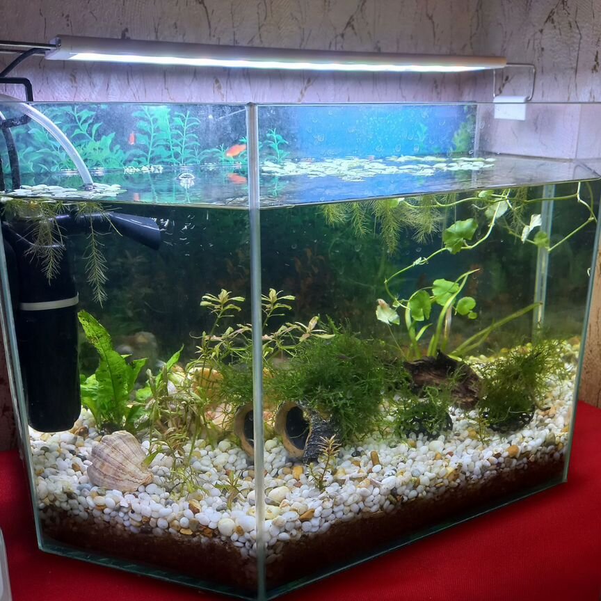 Аквариум 35л