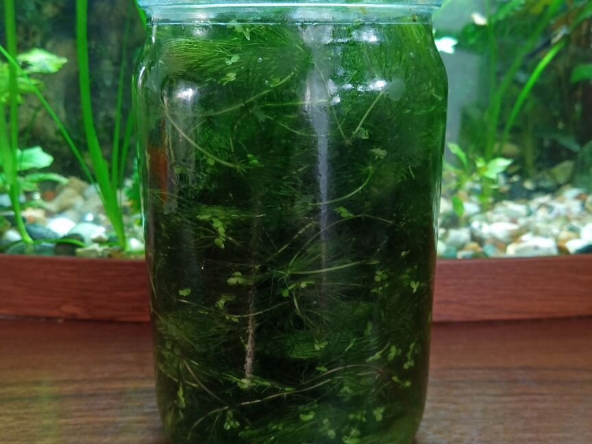 Набор для аквариума