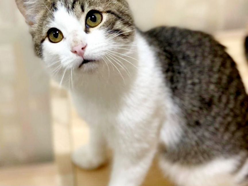 Спасите Марио