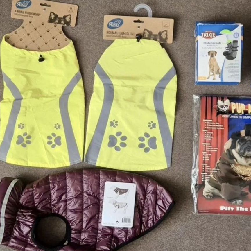 Одежда для собак
