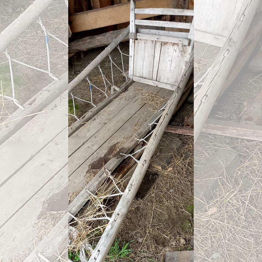 Сани для лошади