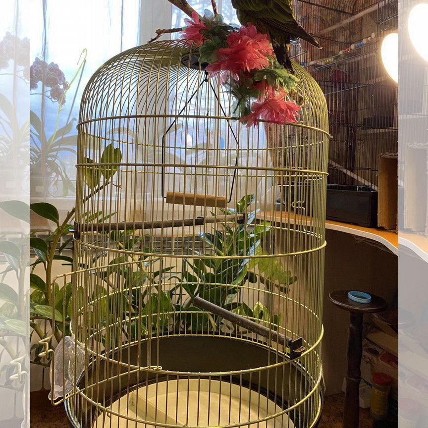 Клетка для попугая большая