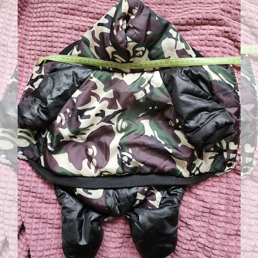 Одежда для собак мелких пород мальчик