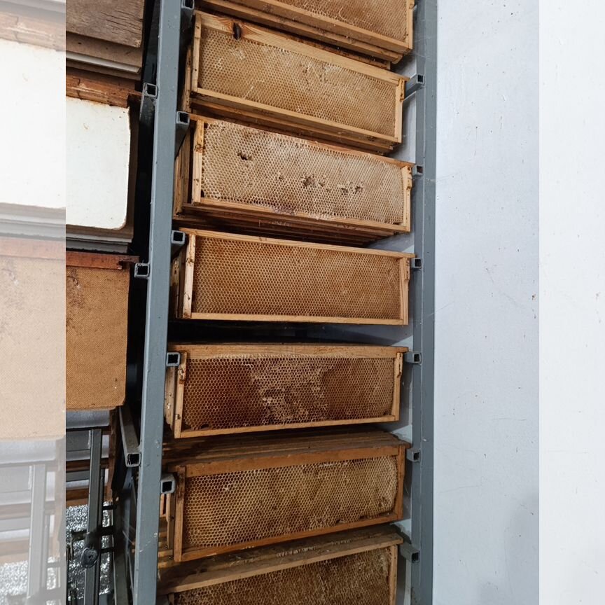 Рамки для ульев магазинные, сушь магазинная