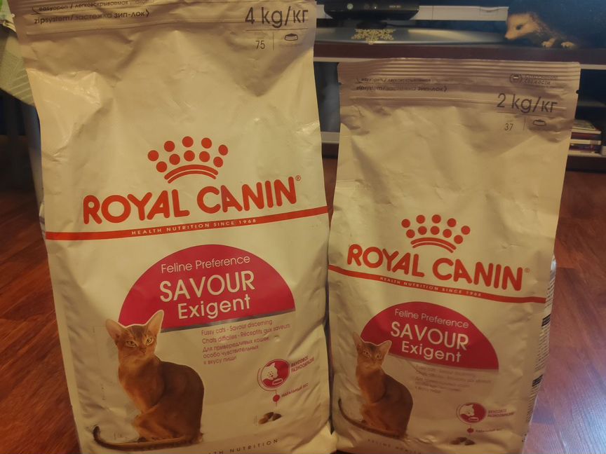 Корм для кошек Royal Canin