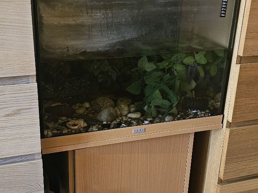 Аквариум с тумбой 125 л