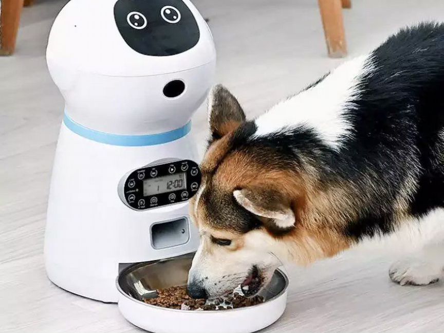Автоматическая кормушка для кошек и собак