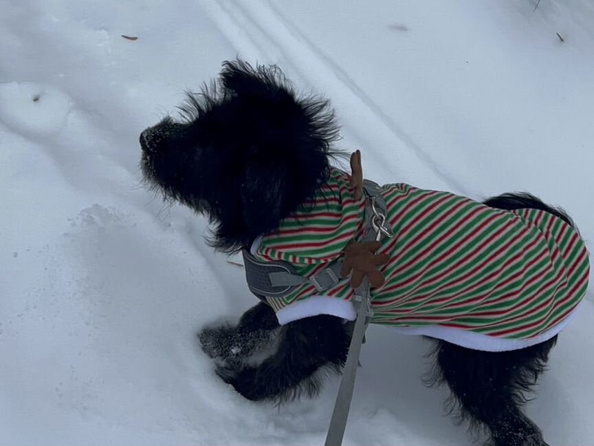 Милейший малыш ищет заботливую семью