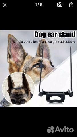 Доберман уши