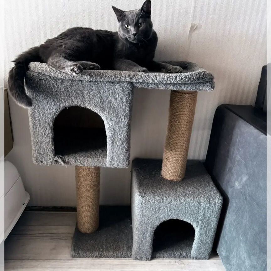 Кошачий домик