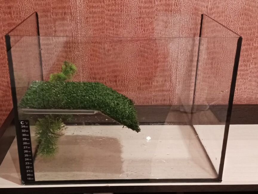 Аквариум-черепашник