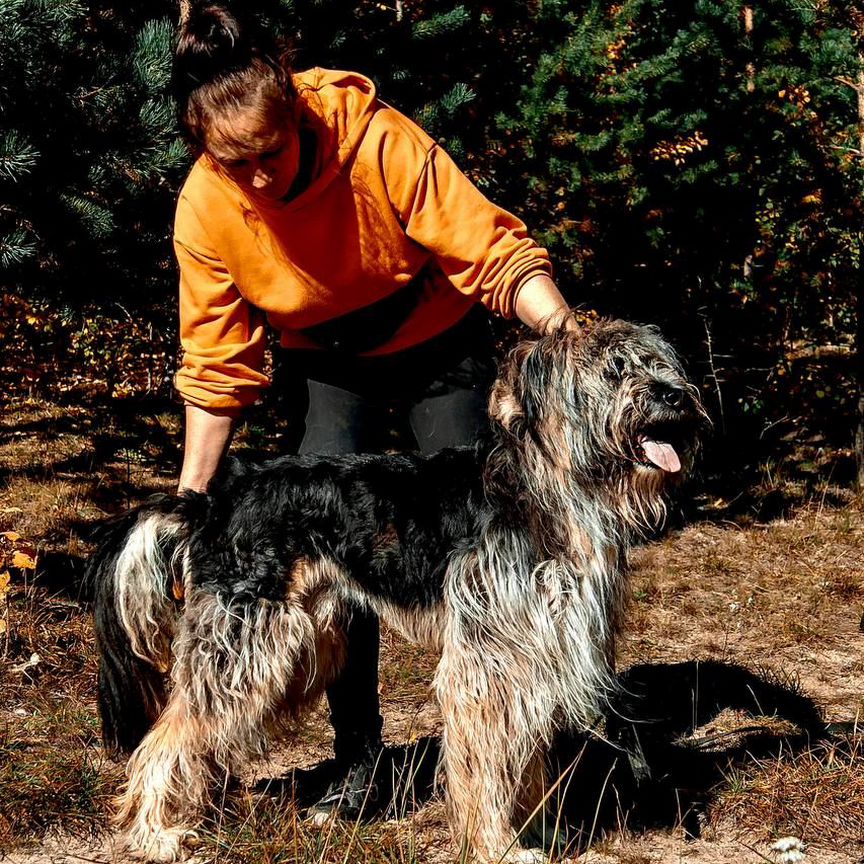 Бриар. Может быть: настоящий дед