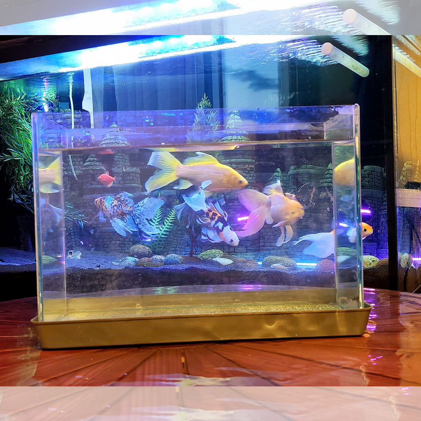 Аквариум 15 литров