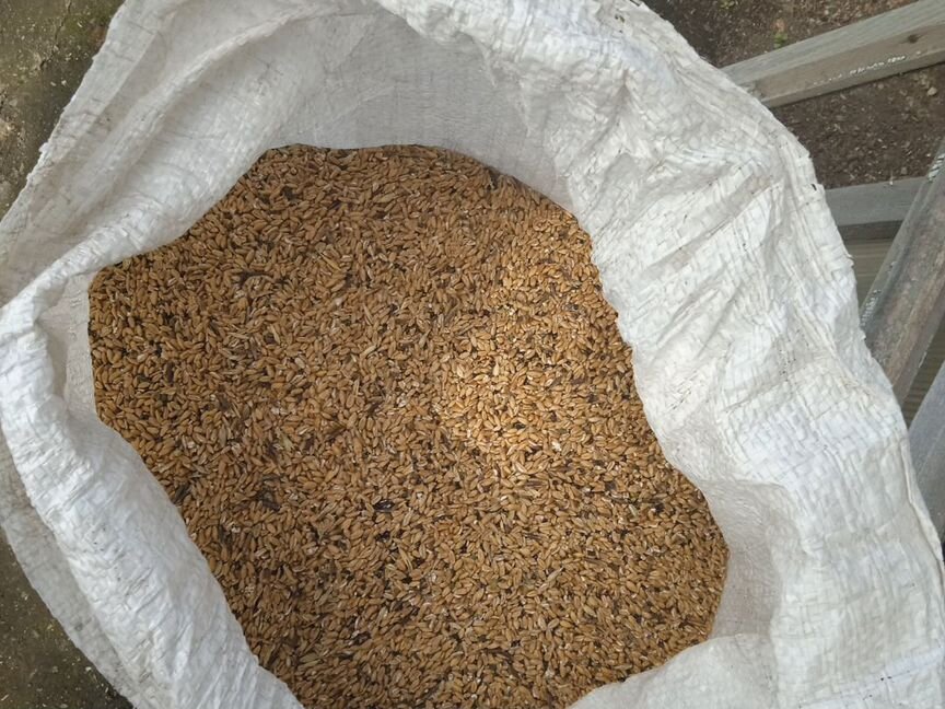 Зерноотходы