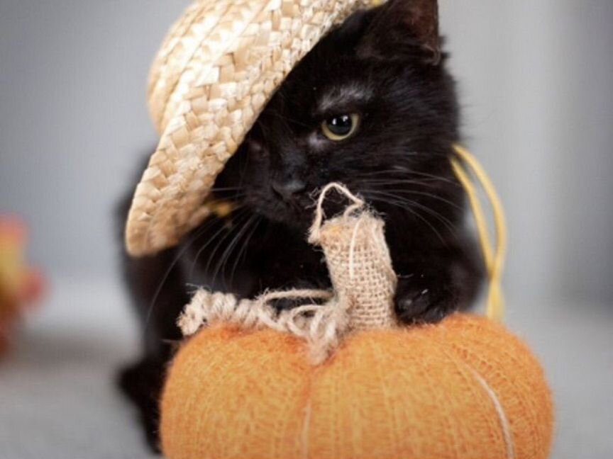 Домовенок Кузя