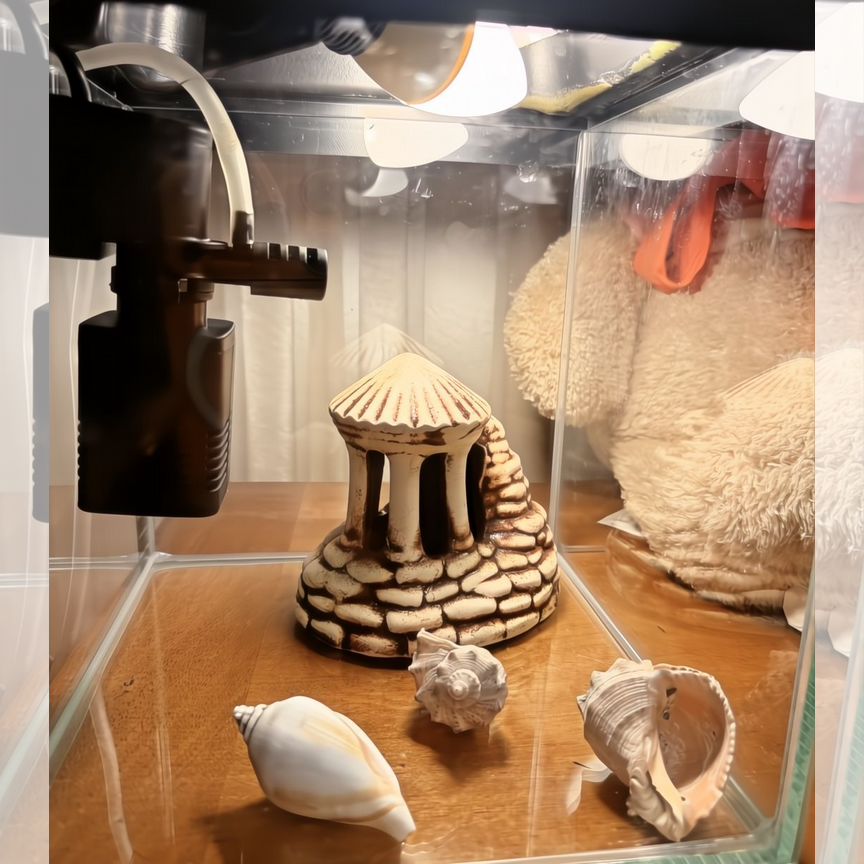 Аквариум 5 литров