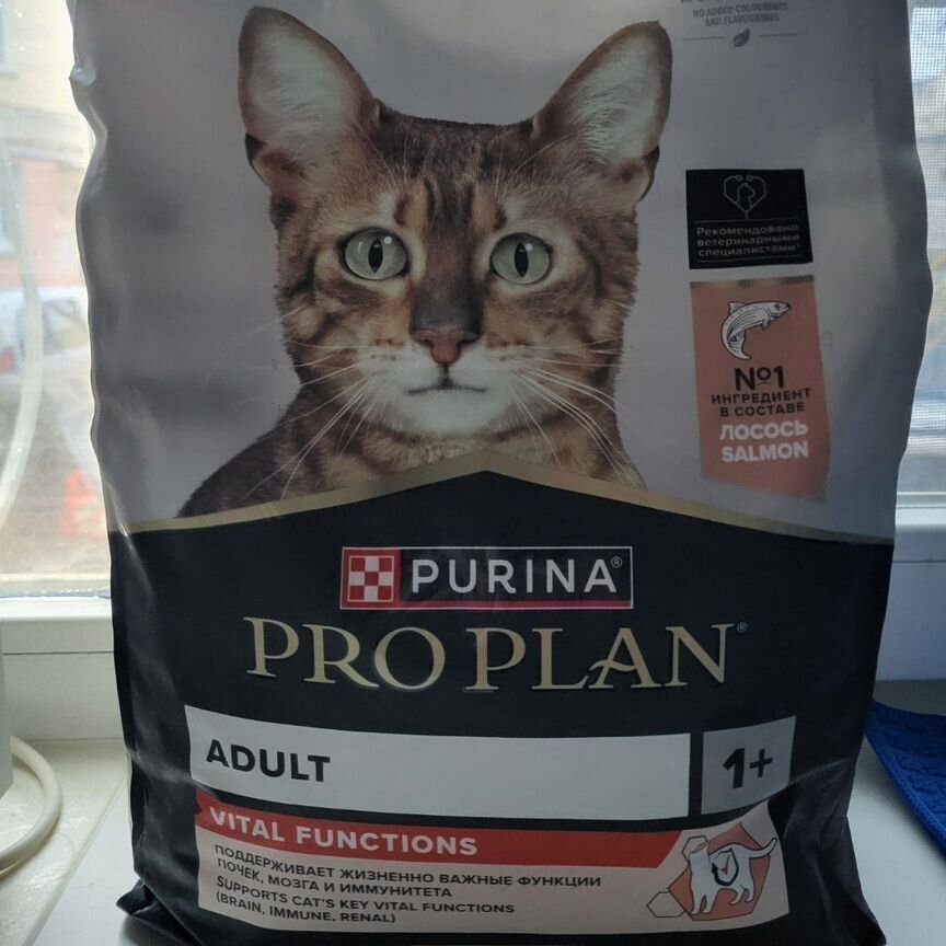 Сухой корм для кошек