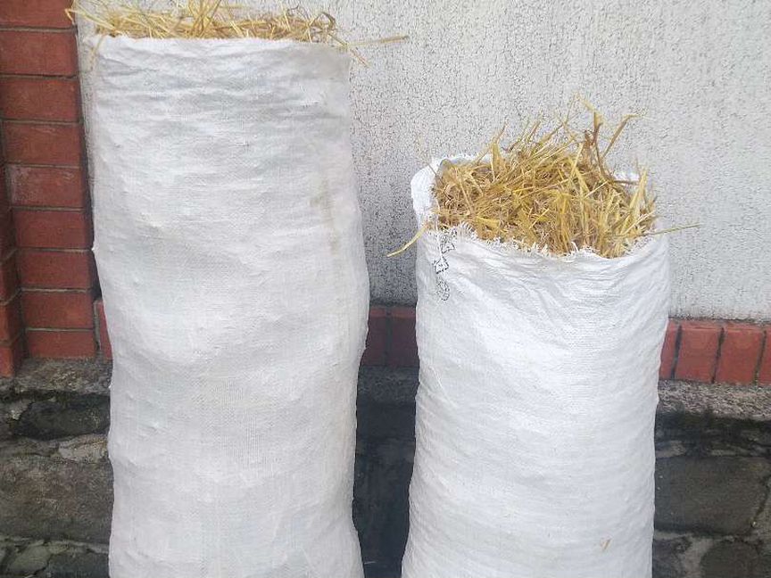 Солома ячменная, стружка и опилки