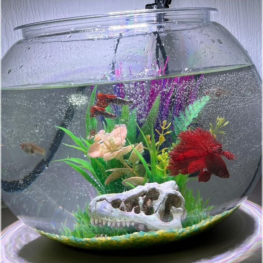 Аквариум 12 литров