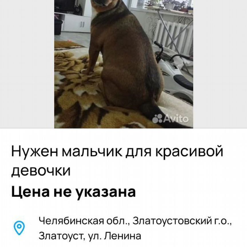 Нужен муж на час