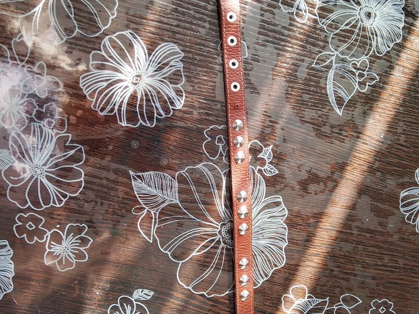 Принадлежности для животных