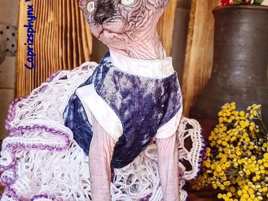 Эксклюзивная девочка