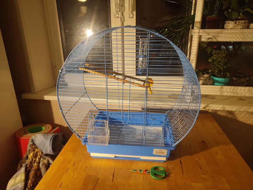 Птичья клетка