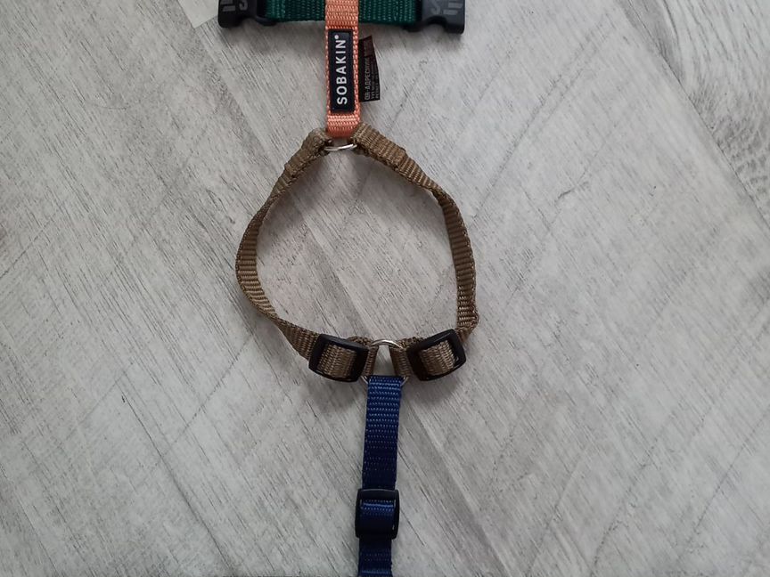 Шлейка для собаки фирмы sobakin