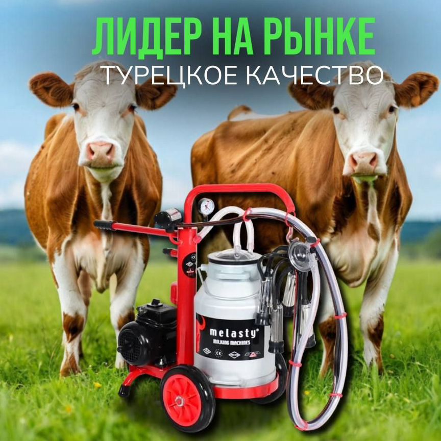 Доильный аппарат, мотор сухого типа