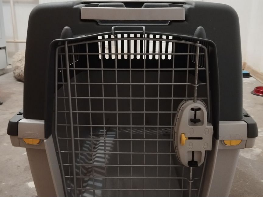 Переноска для крупных собак