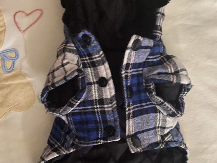 Одежда для собак мелких пород