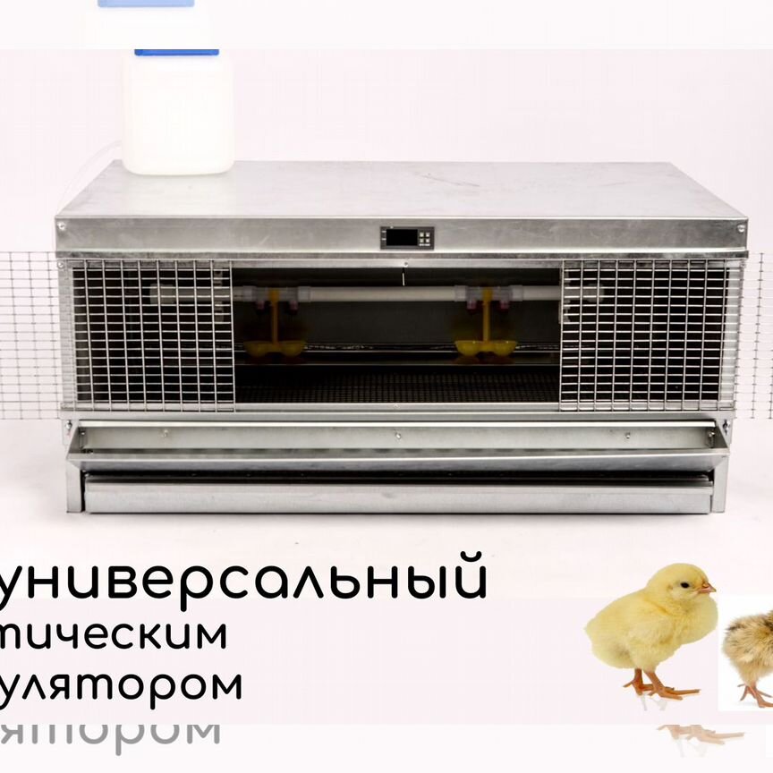 Брудер для цыплят, утят, перепелов, индюшек, Пермь