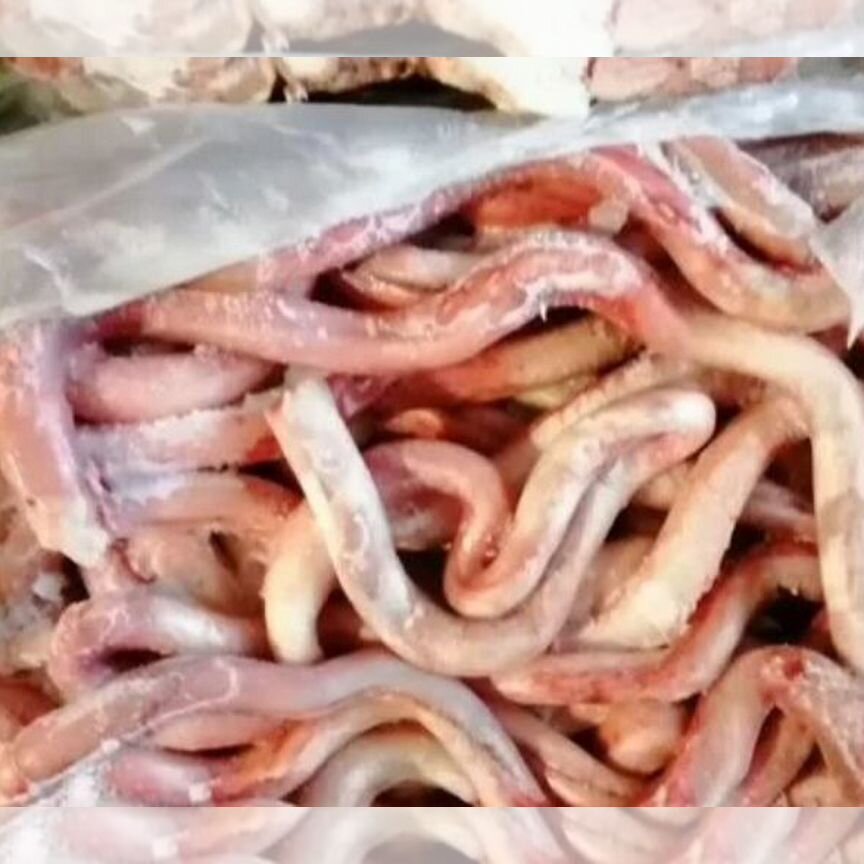 Корень бычий, в заморозке