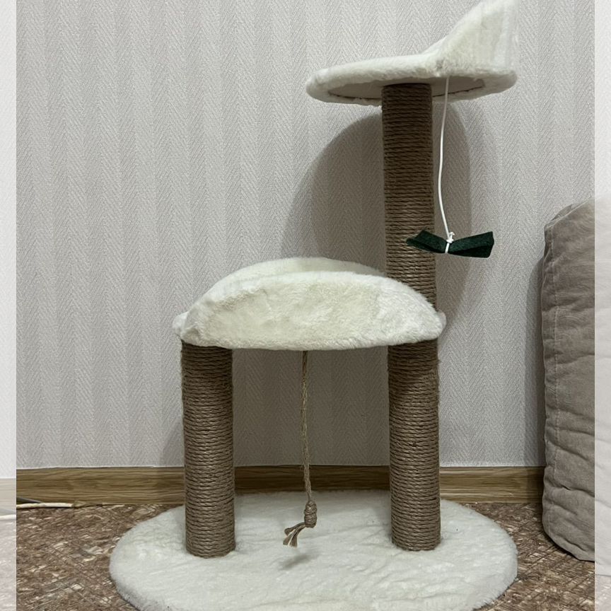 Когтеточка