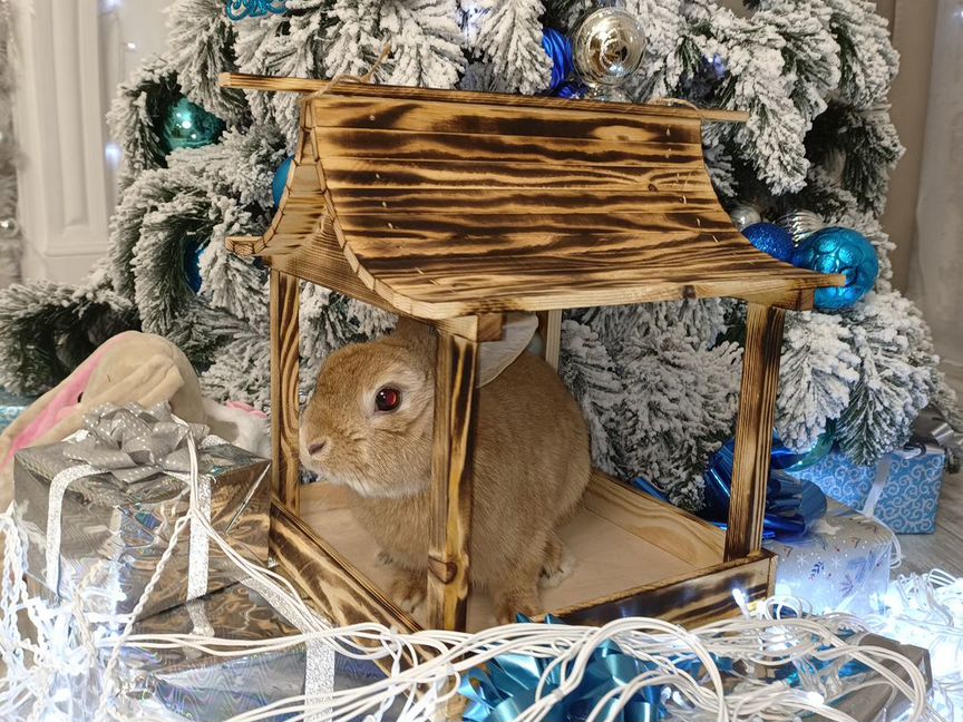 Кормушка для птиц