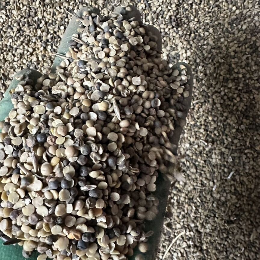 Дробленка, фракция пшеницы, гороха и вики