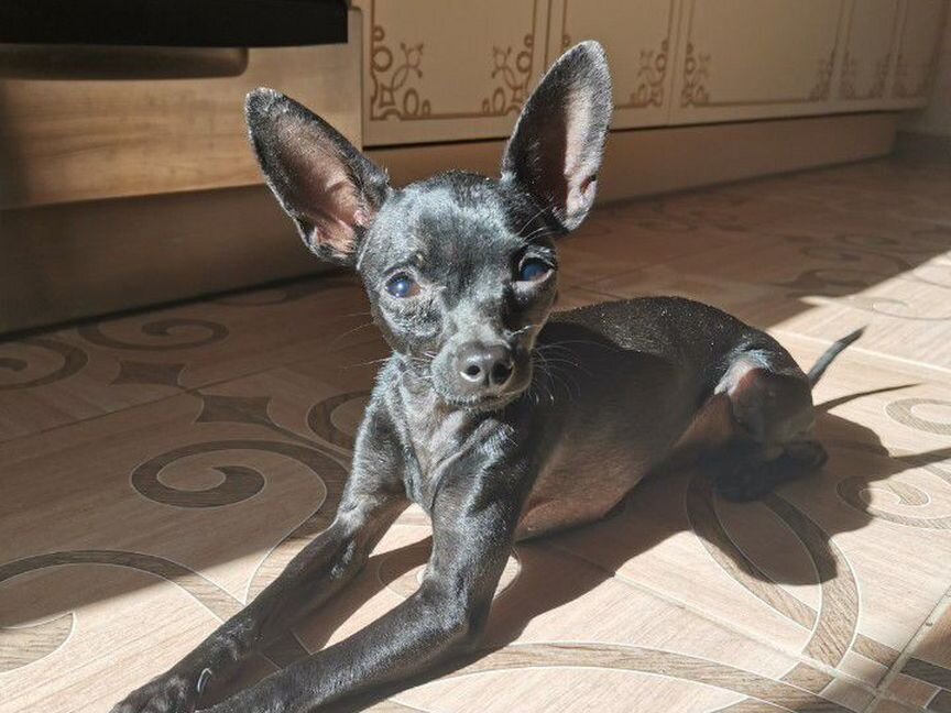 Ищем подружку