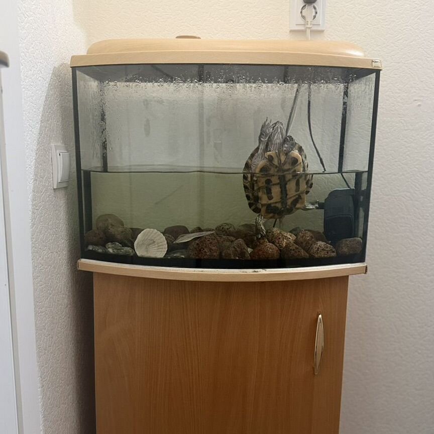 Аквариум 60 литров с тумбой