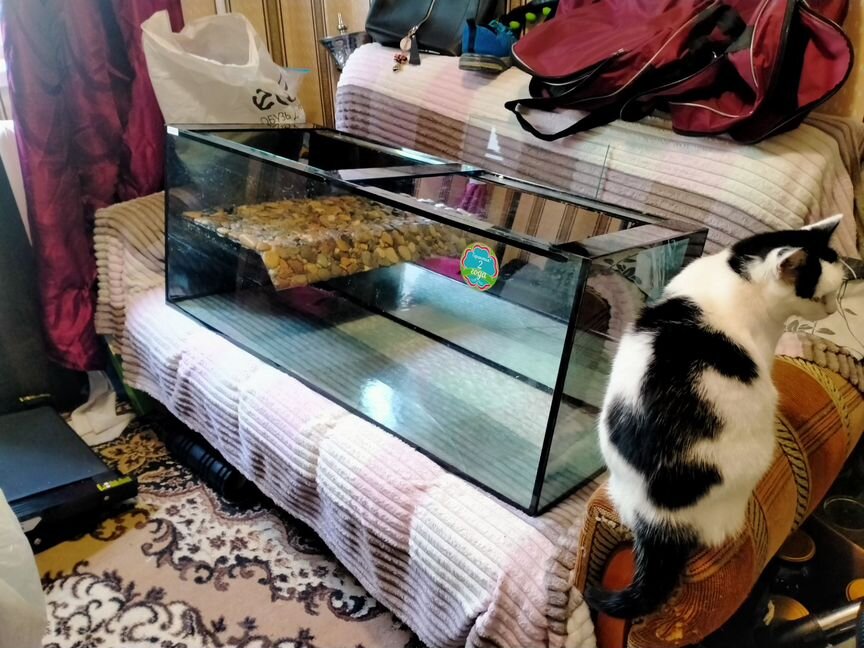 Аквариум черепашник с трещиной на дне