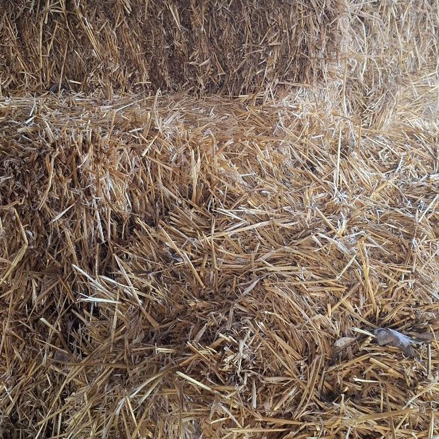 Салома в тюках 25шт