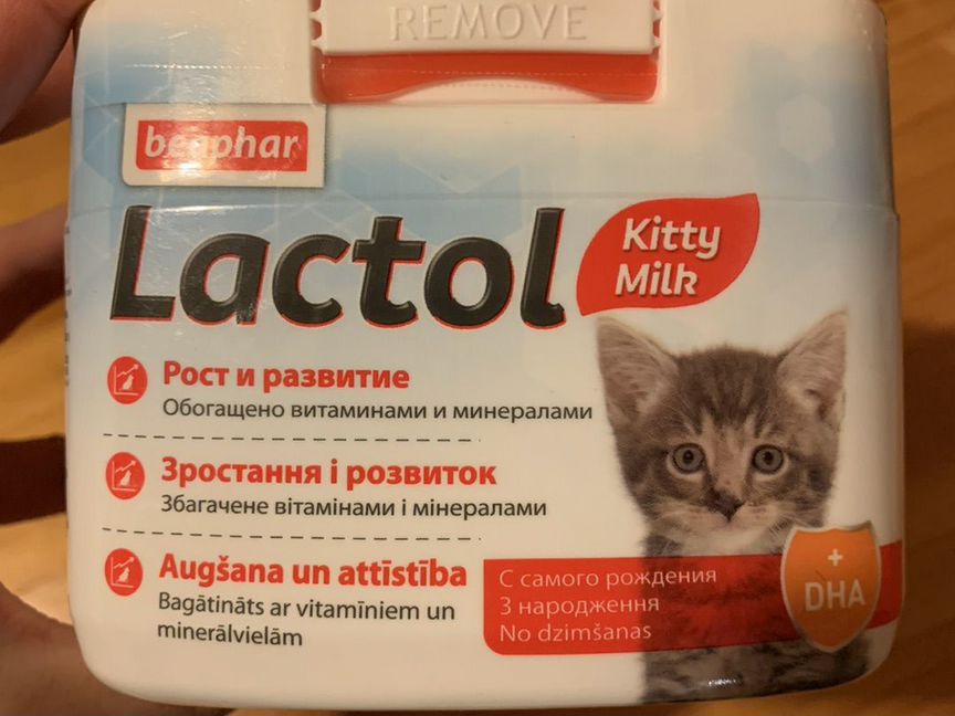 Молочная смесь для котят