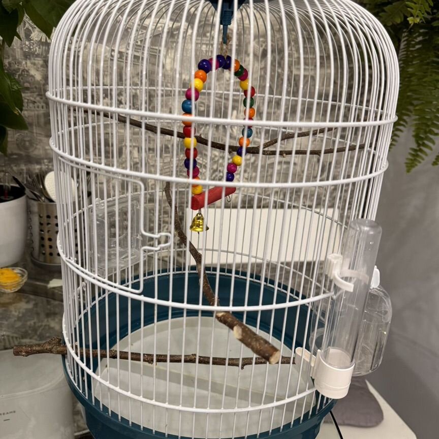 Клетка для попугая ферпласт ferplast regina